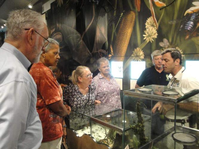 Master gardeners put skills to work for Insectarium | News | nola.com