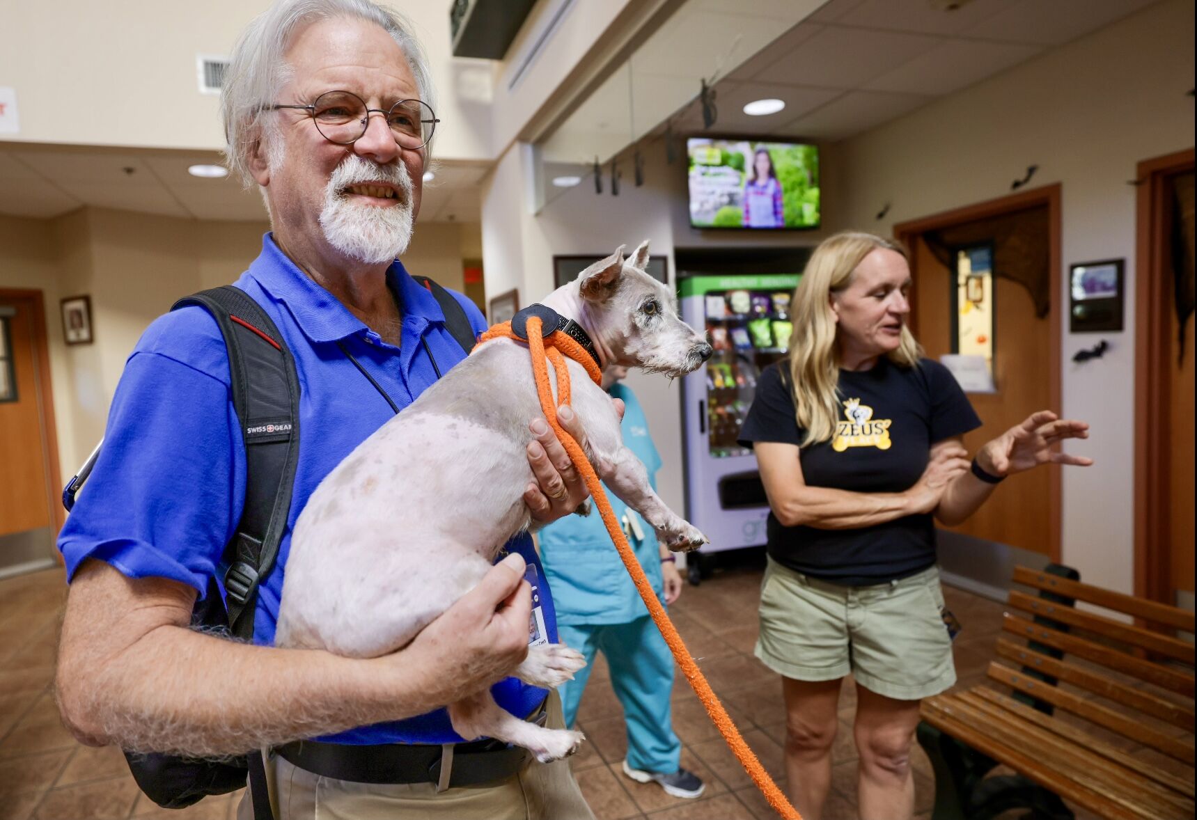 Runaway dog Scrim survives New Orleans blizzard and freeze ...