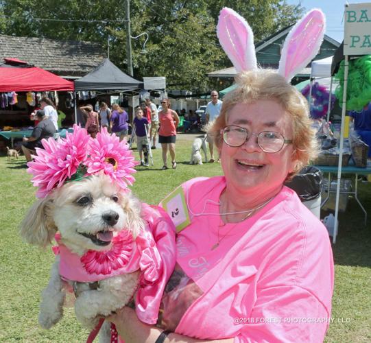 Spring Fling Pet Fest all about the fun, and raising awareness ...