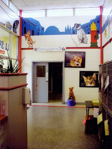 Throughout its 130-year history, LA-SPCA has fought for rights of ...