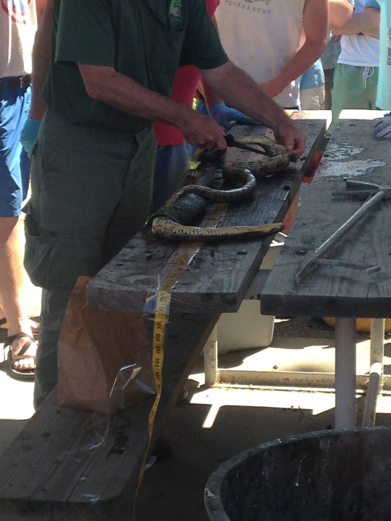 It's almost snake-killing day in Lake Providence, a tradition that ...