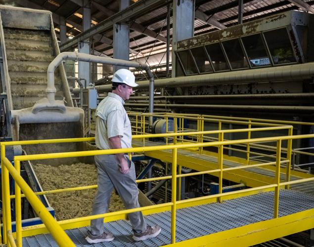 Here's how sugar is made in Louisiana: inside a sugar mill | News ...