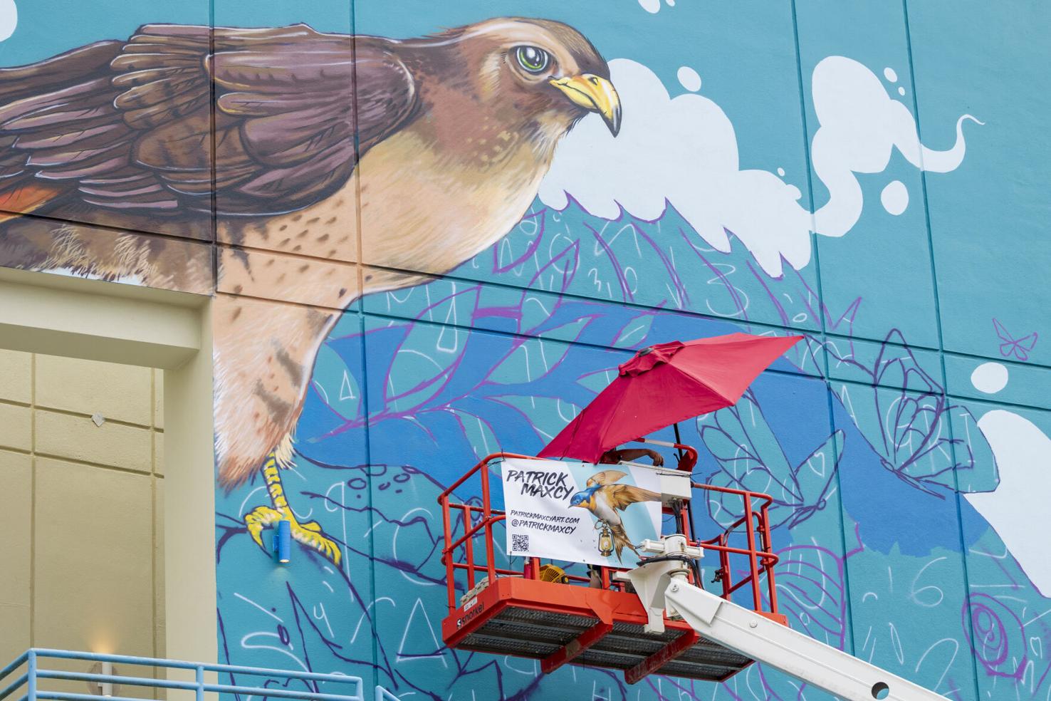 Photo tour of Audubon Aquarium renovations, with insectarium | Photos ...