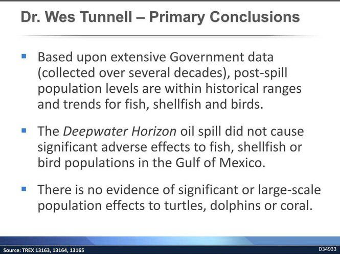 In Bp Oil Spill A Tale Of Two Gulfs How Bp Sees It Environment