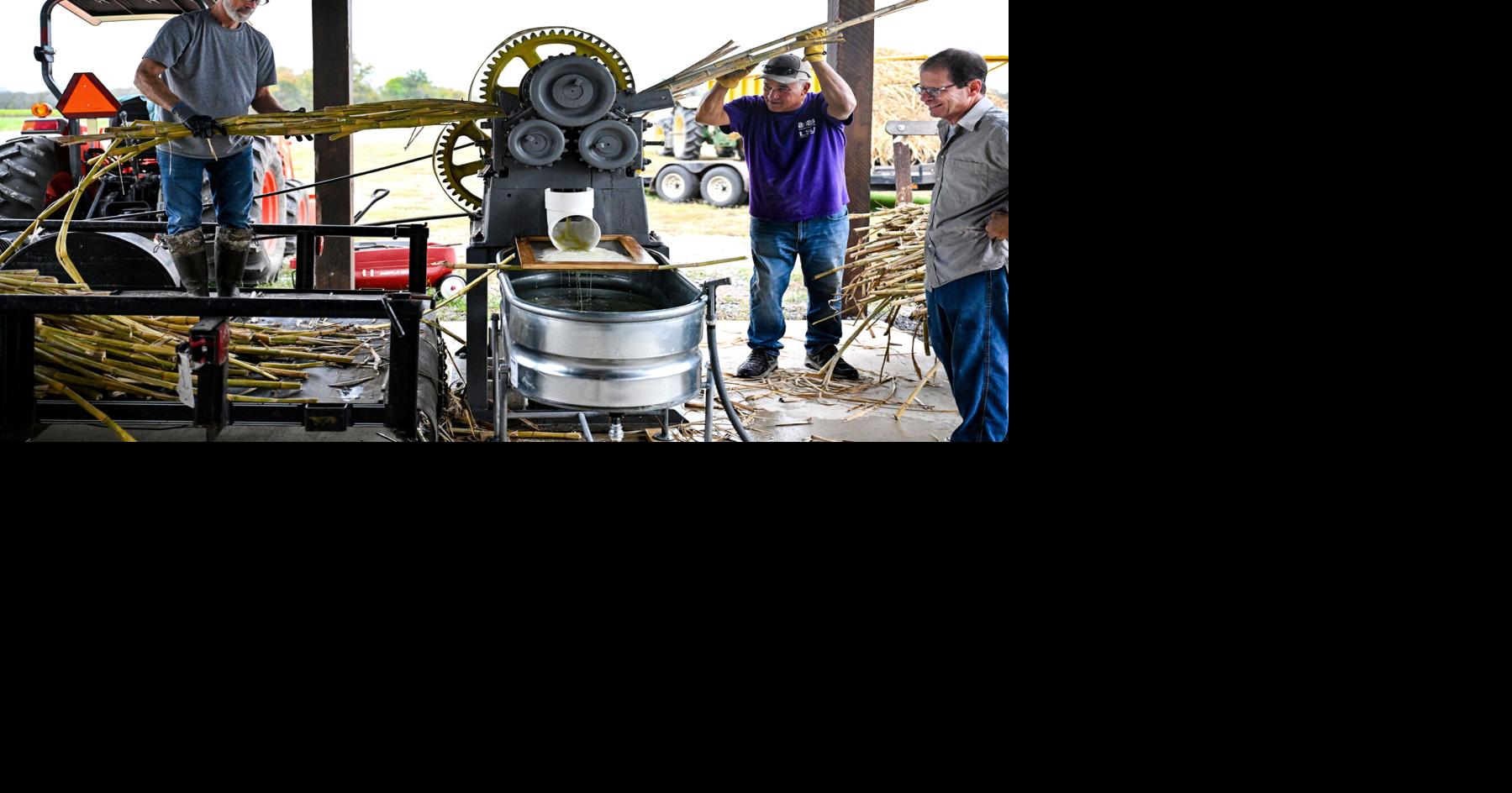 Making cane sugar the old fashioned way in Louisiana | News | nola.com