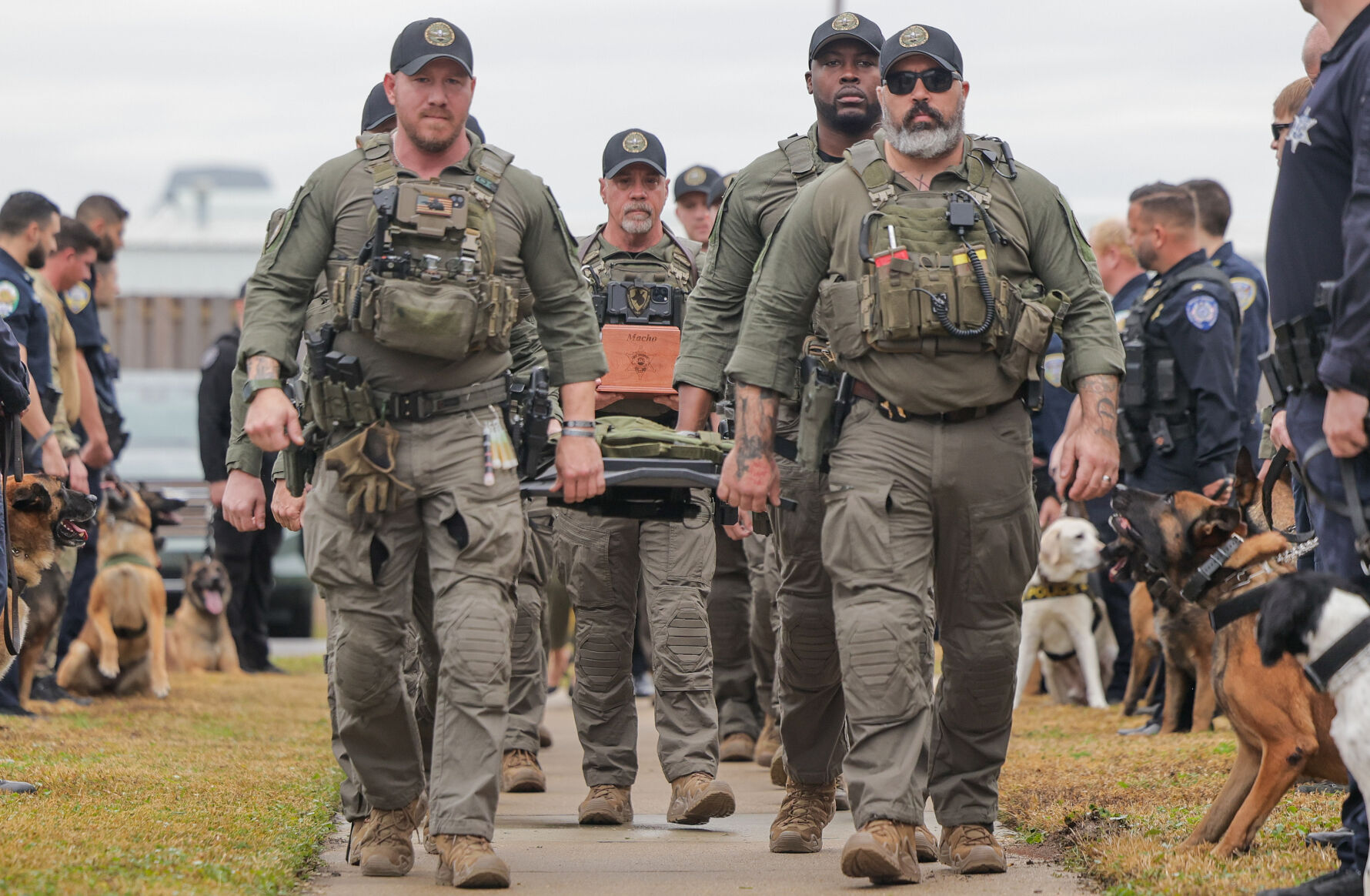 Photos: Memorial service honoring JPSO K-9 Officer Macho | Photos ...