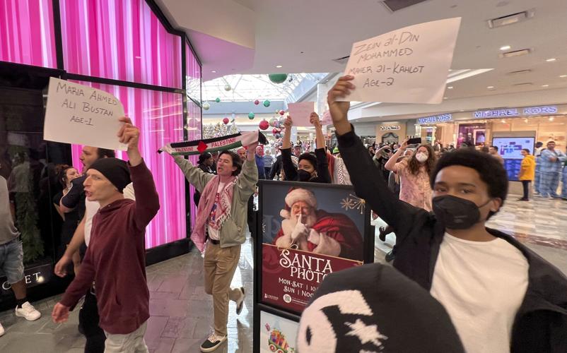 Anti-Israel protestors turn heads inside Lakeside mall | Local Politics ...