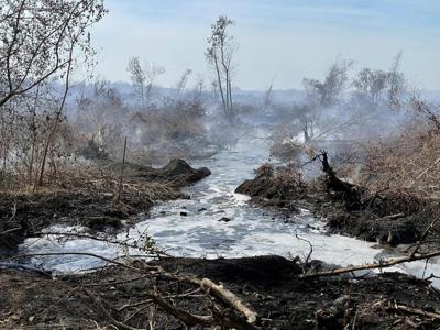 Heavy rains snuff out long-running New Orleans swamp fire | Environment ...