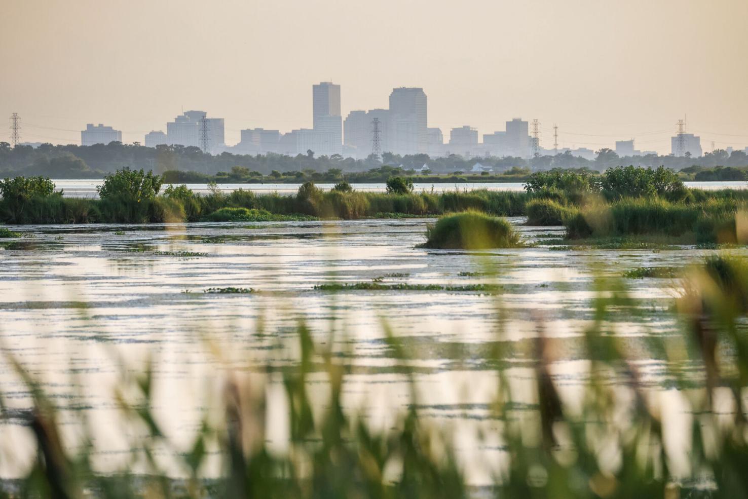 Louisiana 2050: What you need to know about our coast | Environment ...