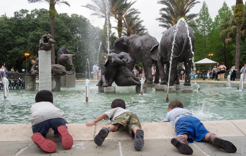Photos: New wildlife statues make a splash at Audubon Zoo's watering ...