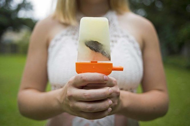 Poptails, anyone? DIY 'Popsicle' cocktails on a stick | Where NOLA Eats ...