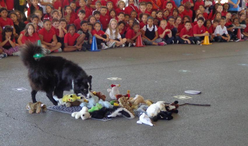 Bissonet Plaza students are rewarded for good behavior with dog show ...