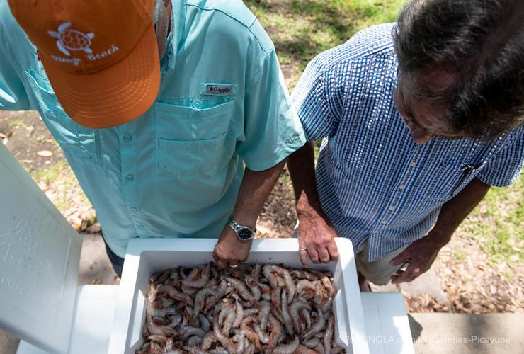 167 pounds of shrimp delivered to New Orleans cooking contest winner ...