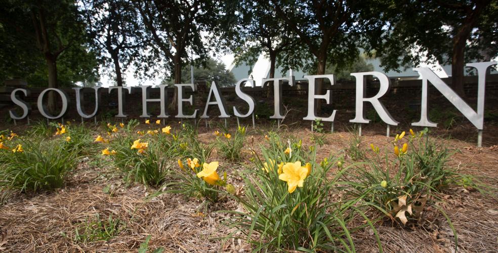 Southeastern reaccredited, Wainwright elected to board | One Tammany ...