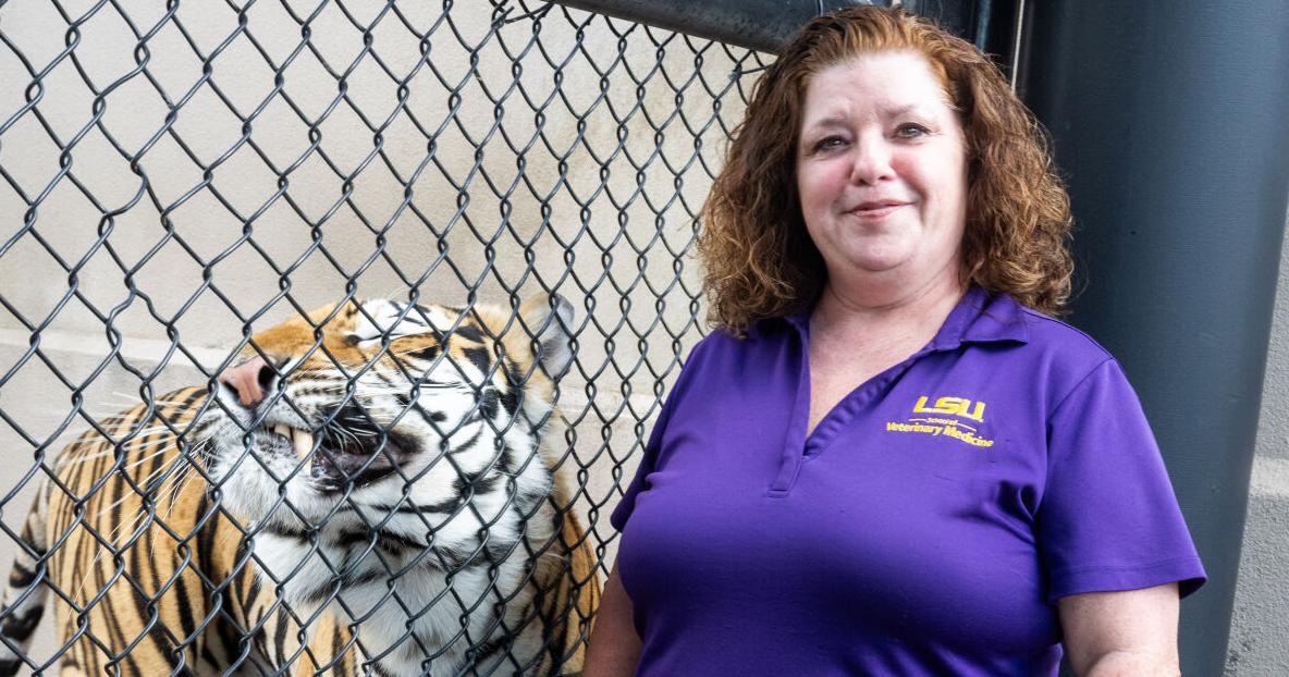 Ginger Guttner is the social media voice of Mike the Tiger ...
