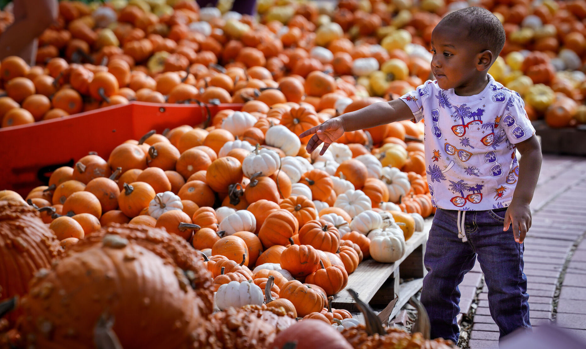Photos: Thousands of pumpkins fill the annual St. Andrew's Episcopal ...