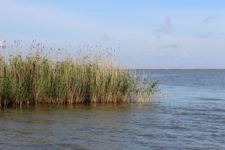 Redfish, speckled trout an easy run from this area | Sports | nola.com