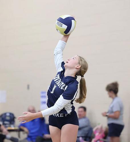 Farmer Volleyball 5: Lions poised for a run to the playoffs | St ...