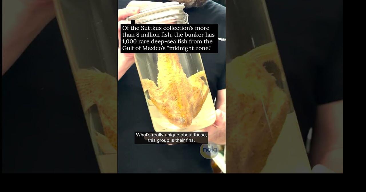 Millions of fish are stored in this WWII bunker in New Orleans ...