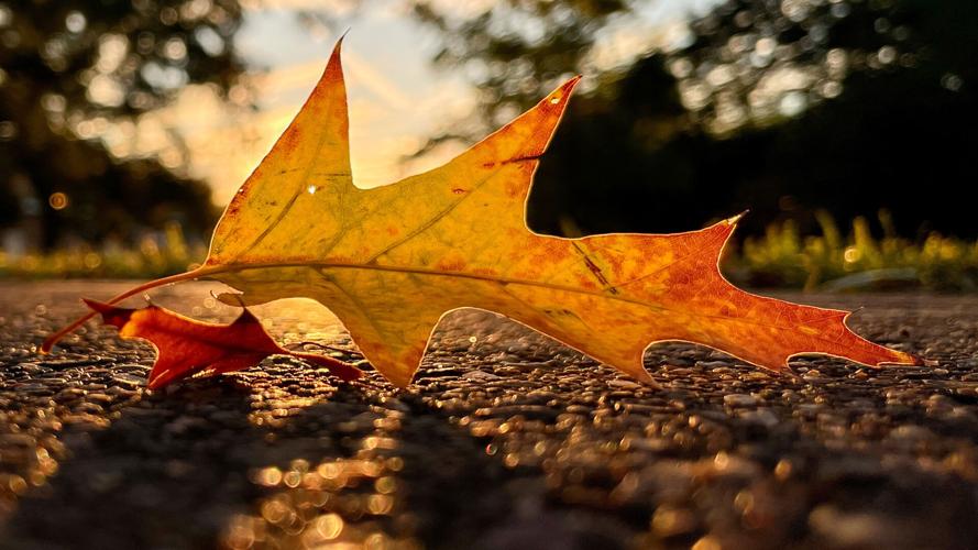 The humidity's back, but not for long: See when cooler temps will ...
