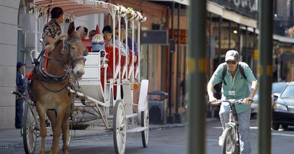 Who should clean up mule poop in the French Quarter? Mayor, business ...