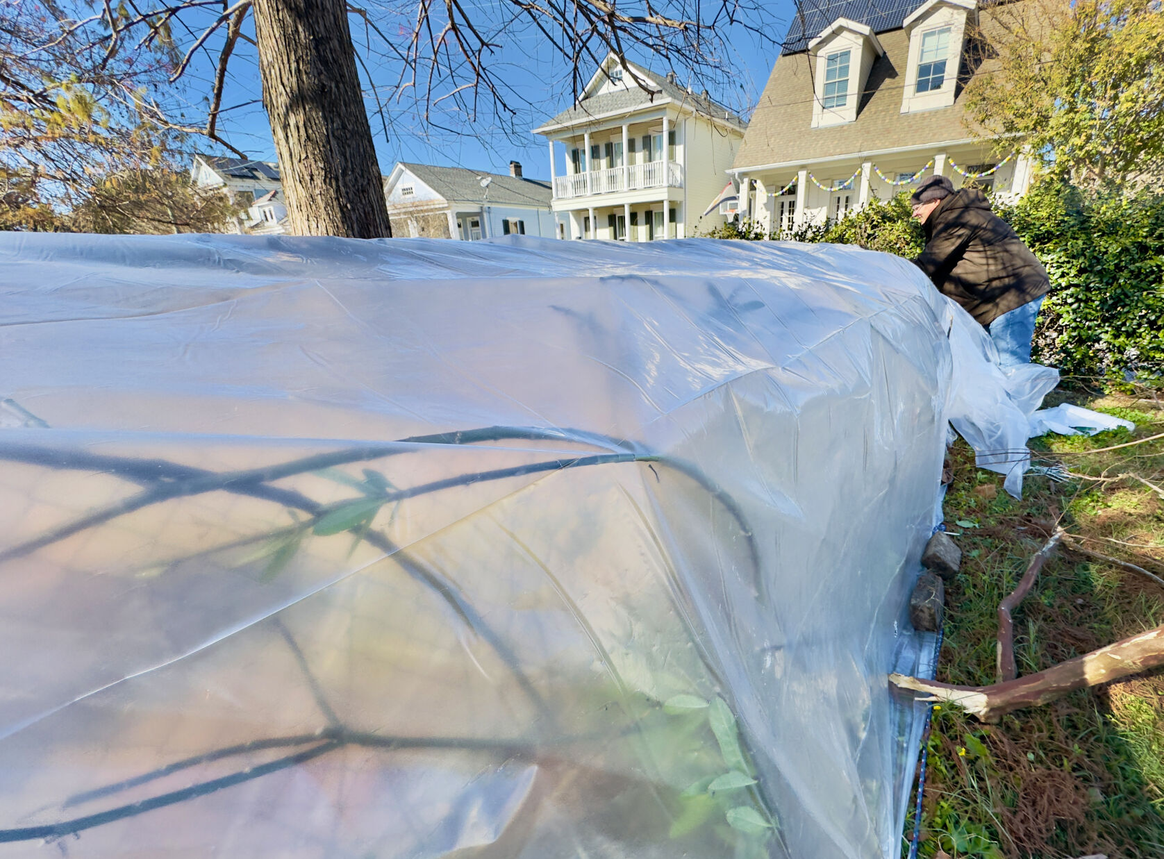 How to prepare, stay safe in unusual Louisiana winter storm | Weather ...
