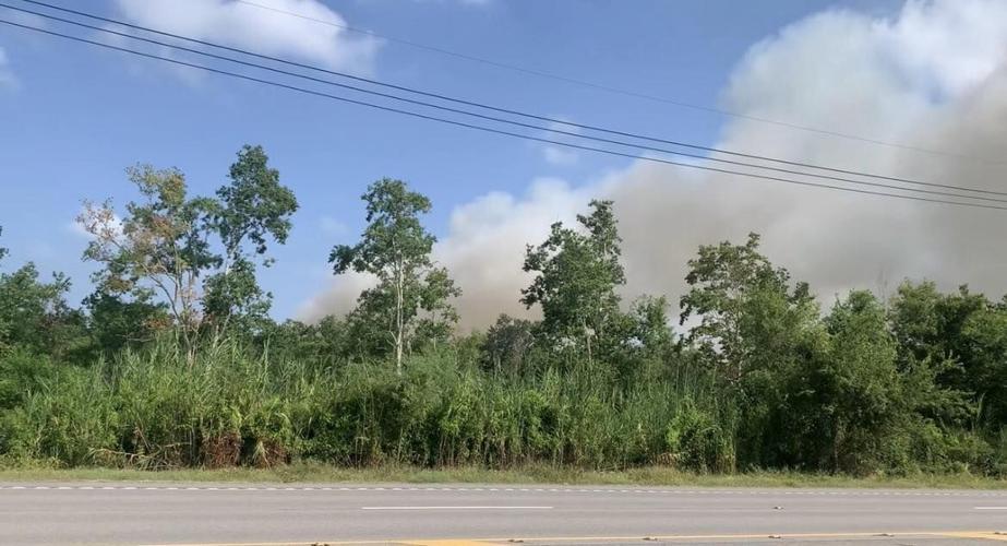 Hundreds of wildfires across Louisiana burn homes, forests ...