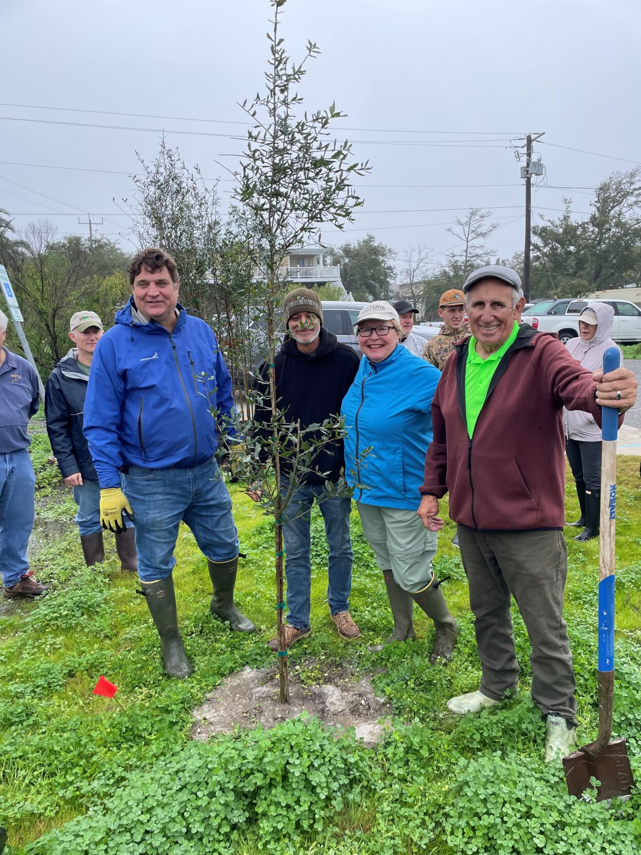 Nonprofits join to restore Grand Isle’s tree canopy | Crescent City ...
