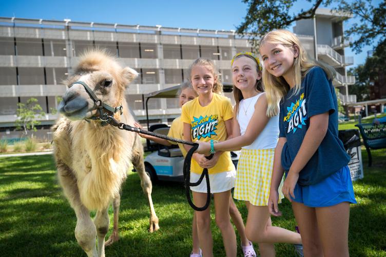 Imagine that: Children's Hospital party celebrates progress on ...