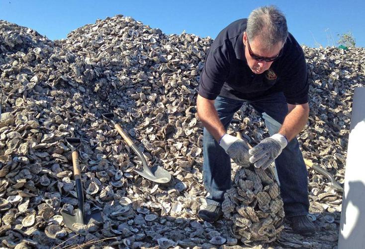 Tons of recycled oyster shells from New Orleans area restaurants could ...