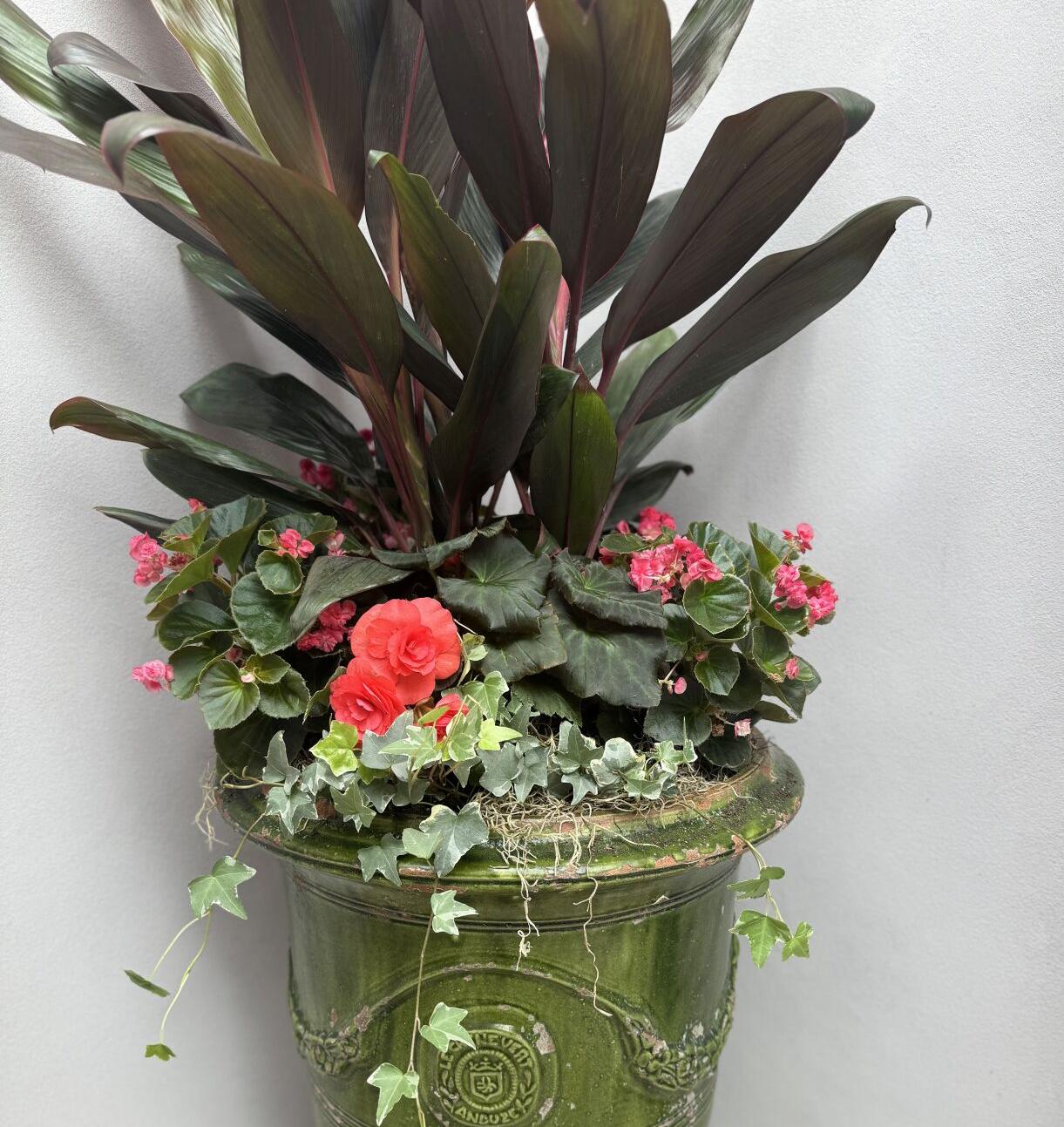 6 container plant combinations that are proven winners | Home/Garden ...