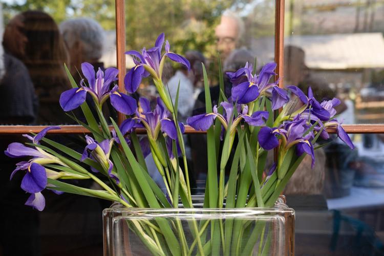 Abita Springs art show reflects St. Tammany's natural beauty | St ...