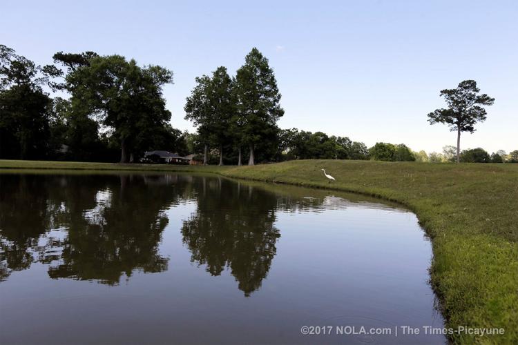 Golf course comeback? Potential sale may breathe new life into Pinewood ...