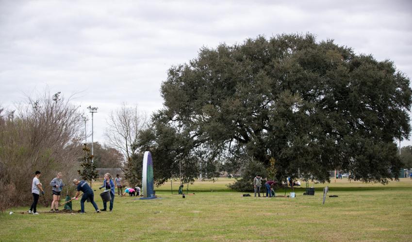 New Orleans tree planting efforts fall short of other cities ...