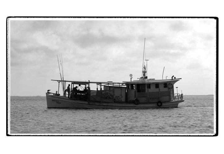 Nonprofits plant millions of oysters to restore population | | nola.com
