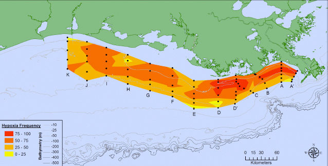 Near record low-oxygen ‘dead zone’ predicted for Gulf | Environment ...