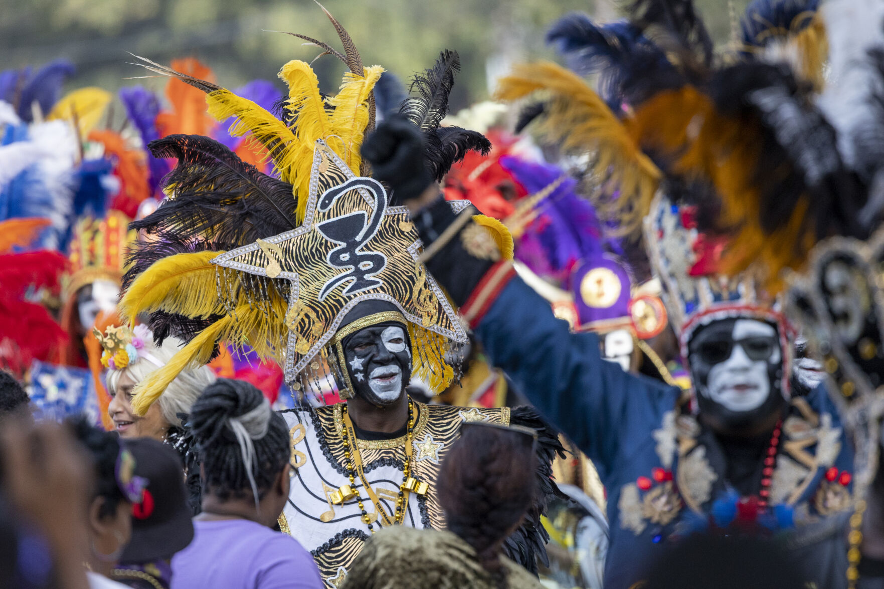 Photos: Zulu brings delivers joy and coconuts for Mardi Gras | Photos ...
