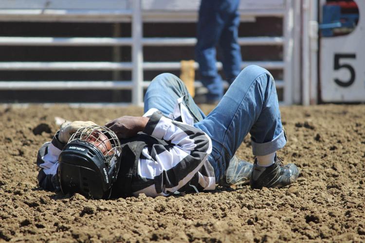 Angola Prison Rodeo, Treme Culture Fest, Satsuma Celebration and more ...