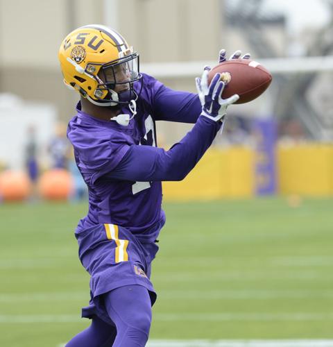 LSU transfer Xavier Lewis coming into his own at Southeastern | Sports ...