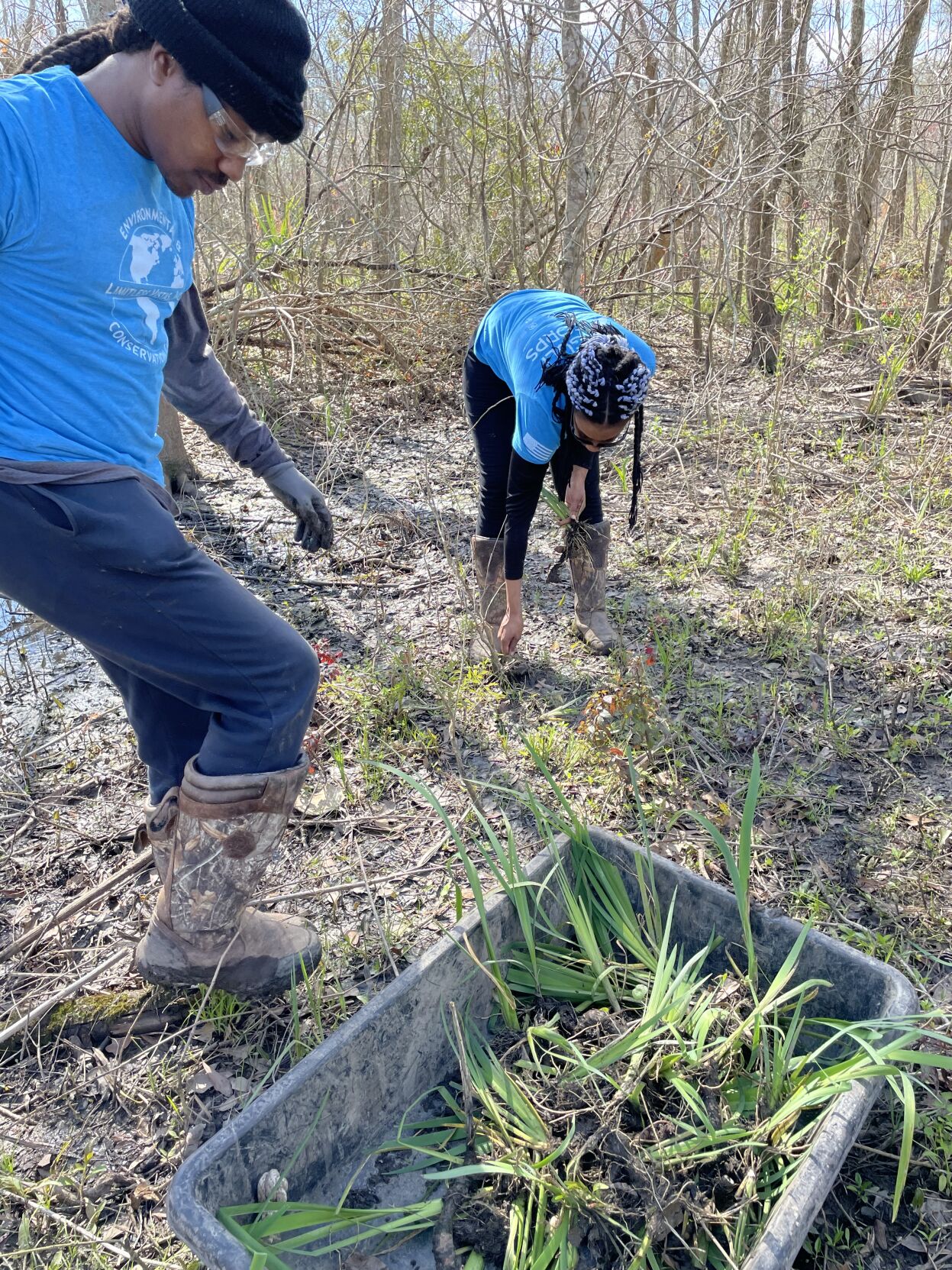 Gary Salathe is out to save the native Louisiana iris | Louisiana ...