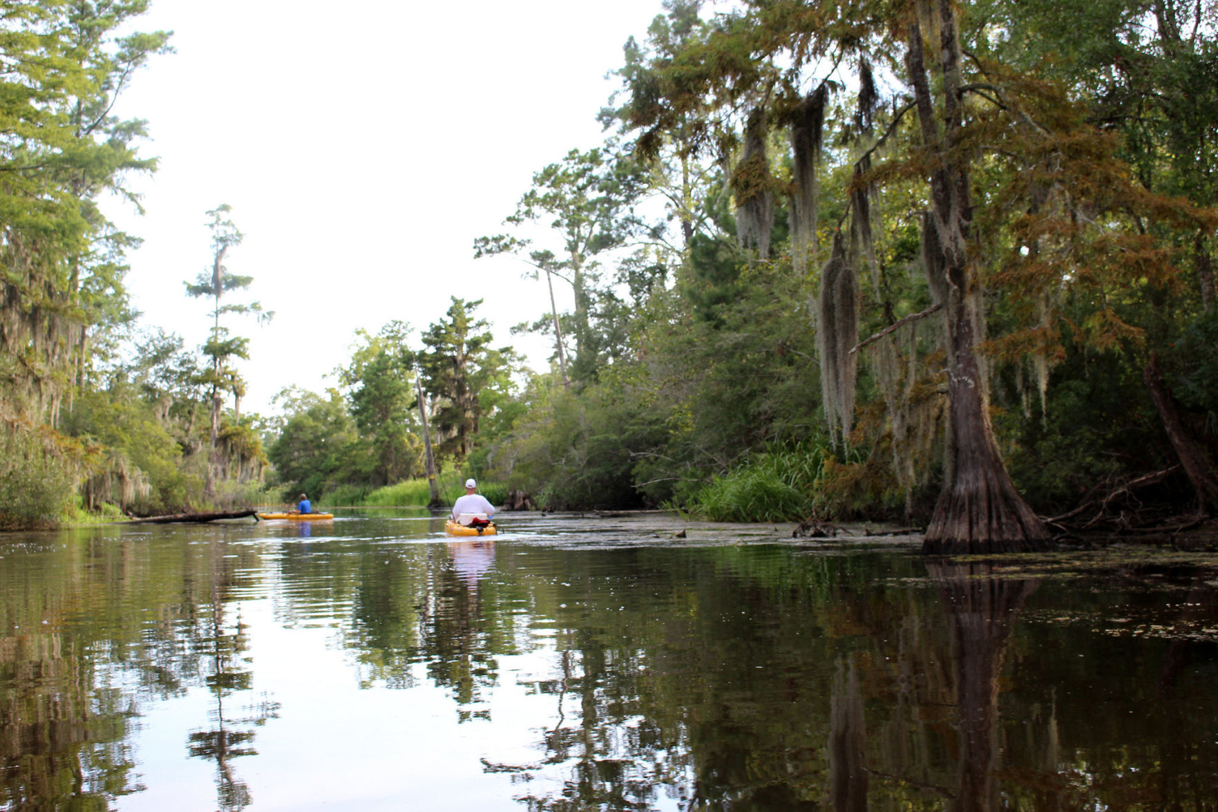 Bill removing St. Tammany scenic rivers failed in committee | One ...