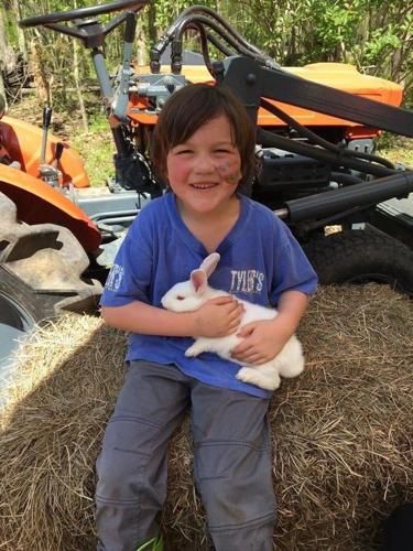 Sugar Roots Farm opens its barn doors for Baby Animal Day | Archive ...