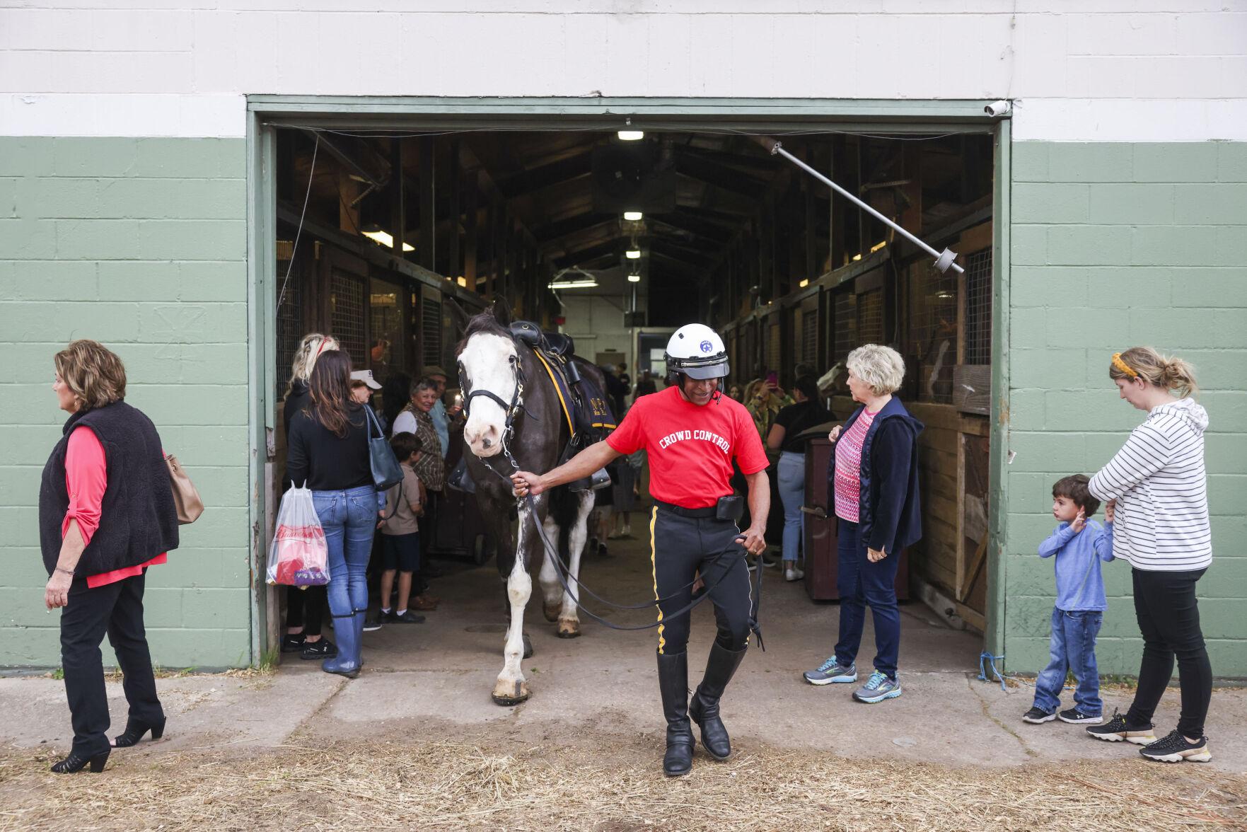 Horse, Hops & Cops raises money for NOPD Mounted Unit | Photos | nola.com