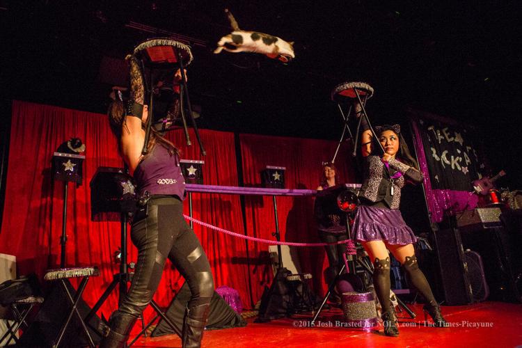 Tuna and the Rock-cats, all-feline band coming to 'Mew Orleans ...