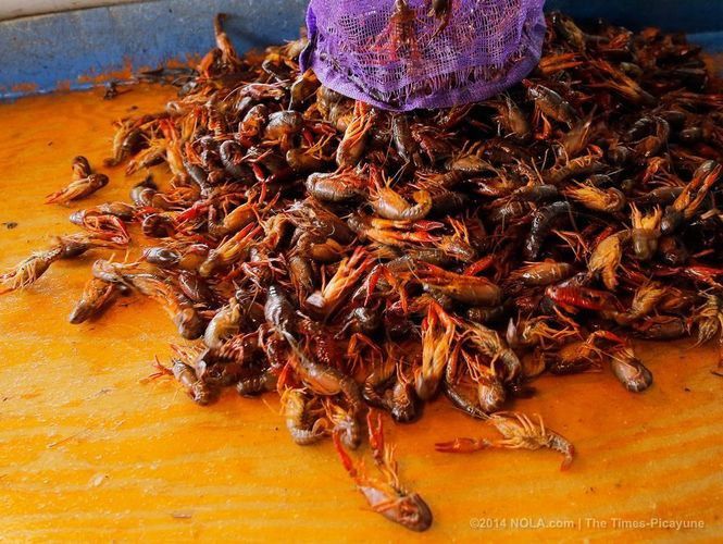 10 best places for boiled crawfish in New Orleans/St. Bernard: NOLA.com ...