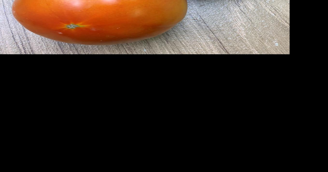 Digging in: What exactly is a Creole tomato? | Home/Garden | nola.com