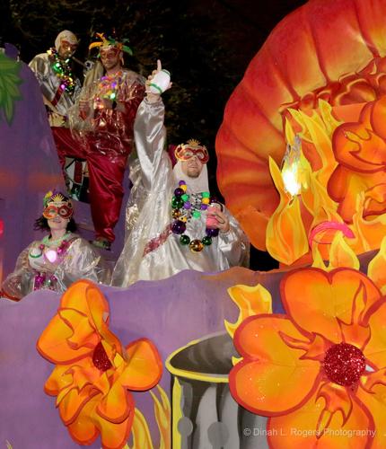 Sparta and Pygmalion 2019 Mardi Gras parades roll despite rain: see ...