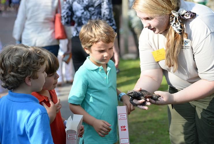 Zoo-To-Do for Kids creates big fun for the little ones | Parties ...