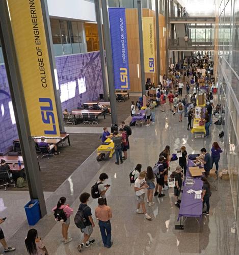 Engineering, business popular at LSU; humanities shrinking | Education ...