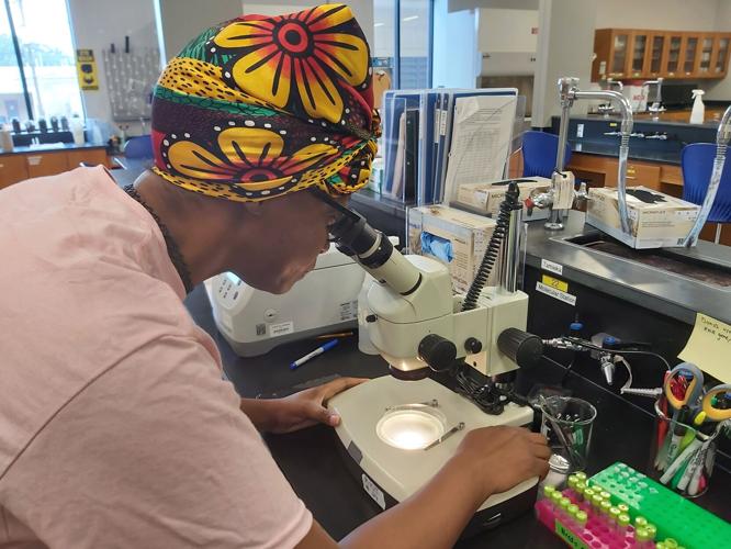 BRCC sponge research project breaks ground, opens doors | Louisiana ...